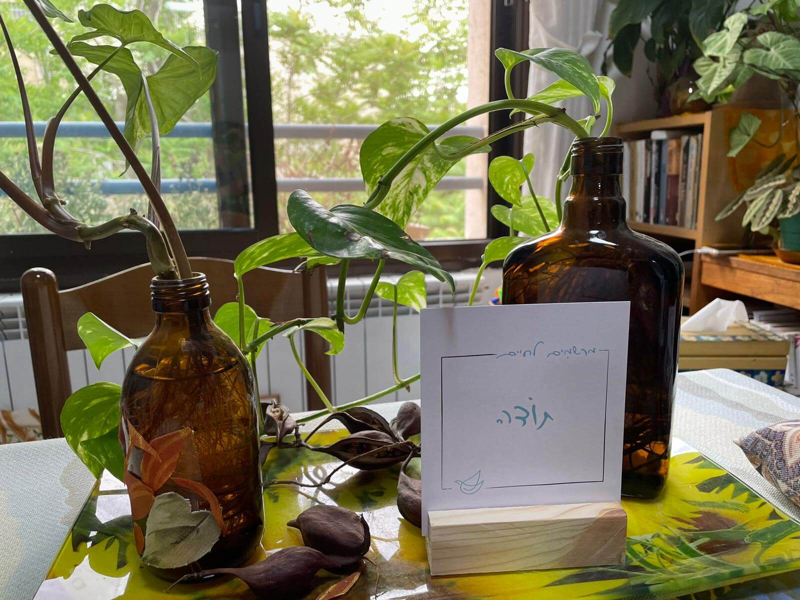 Prescriptions for Life • haverut • Creating Health Together